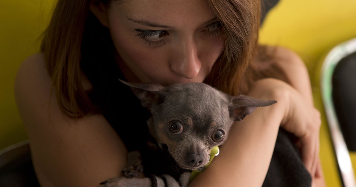 Personhood for Pets? How the Human-Animal Bond Has Evolved