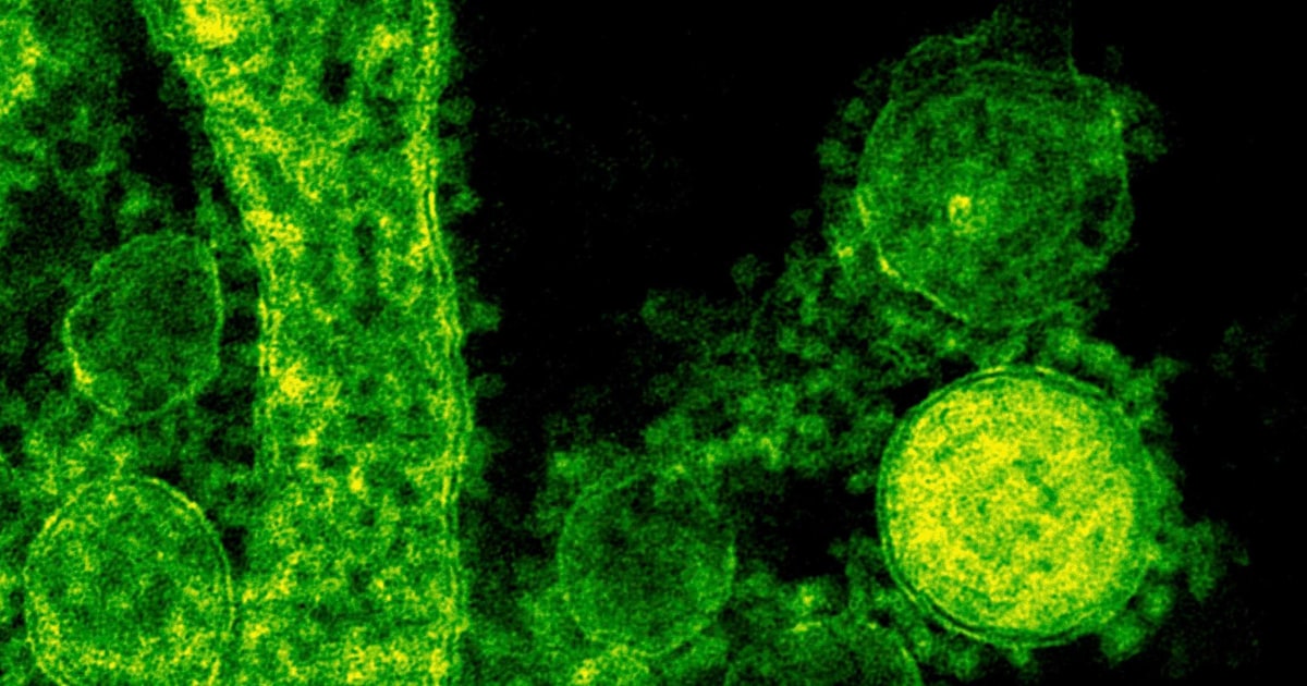 MERS Search: Disease Detectives Beat Bushes for Virus