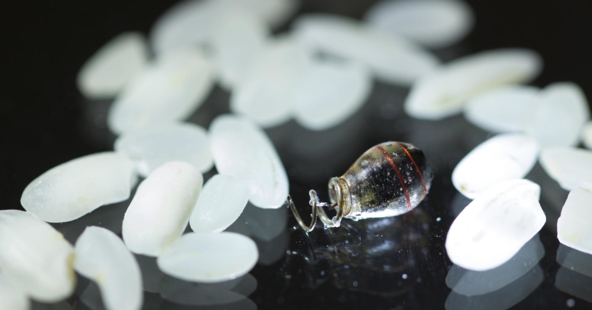 Wireless Medical Implant Is Smaller Than a Grain of Rice