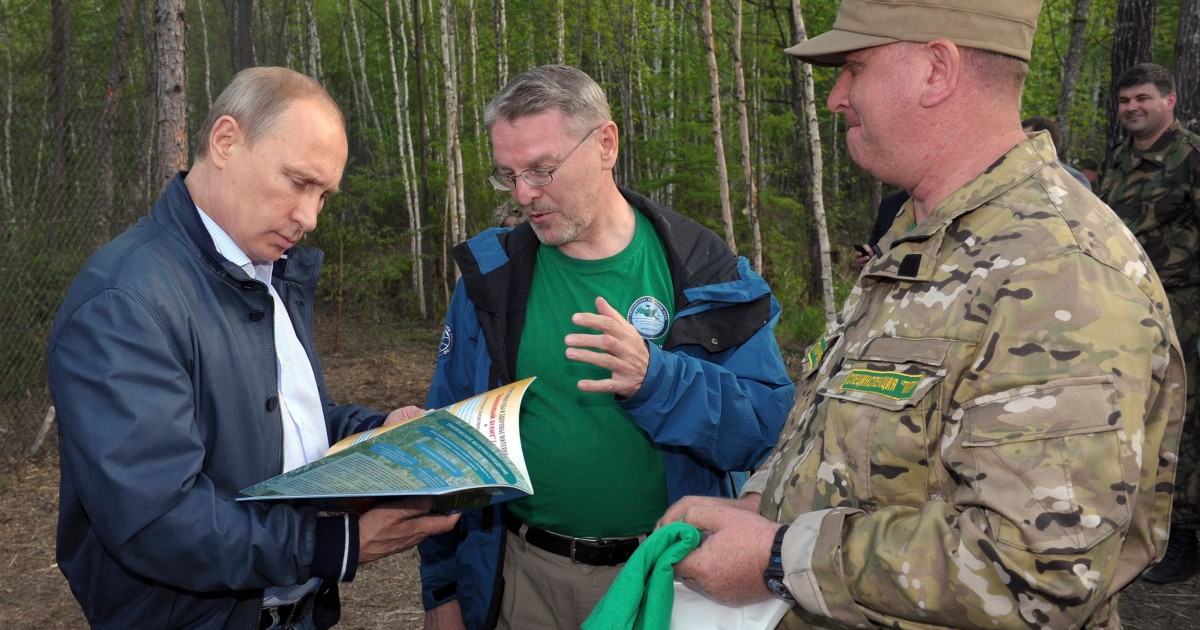 Putin Releases Tigers Into the Wild