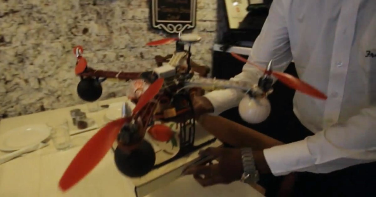 India Delivers First Pizza By Drone, Kind Of...