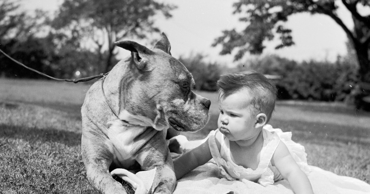 Dirty Baby, Healthy Baby? Early Filth May Reduce Allergies