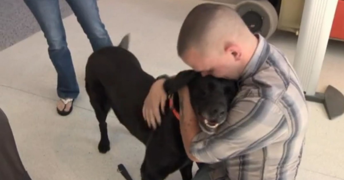 Marine Reunites With Dog That Saved His Life