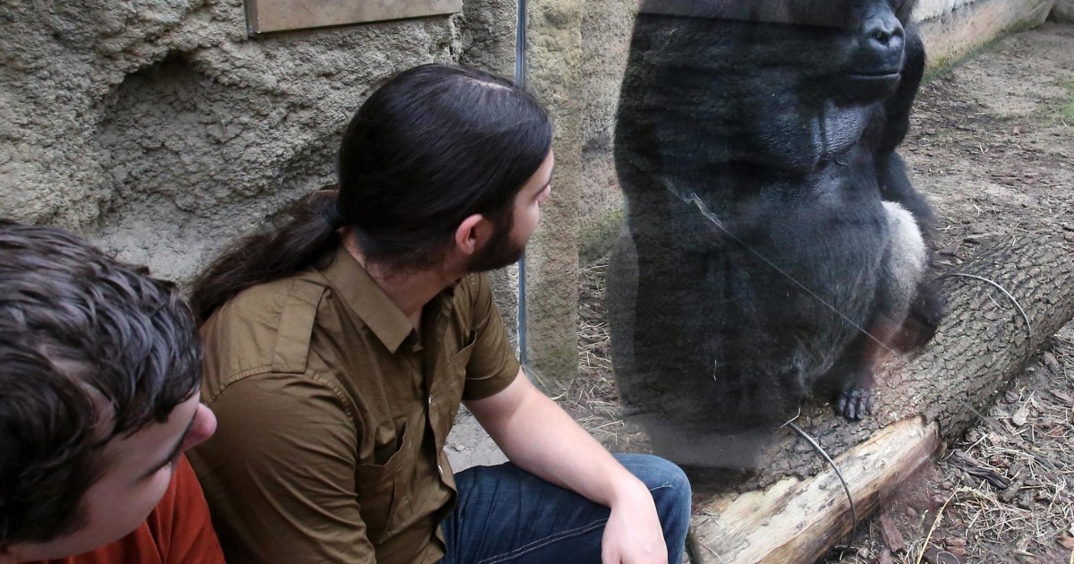 Physicist Believes Evolution was Inevitable