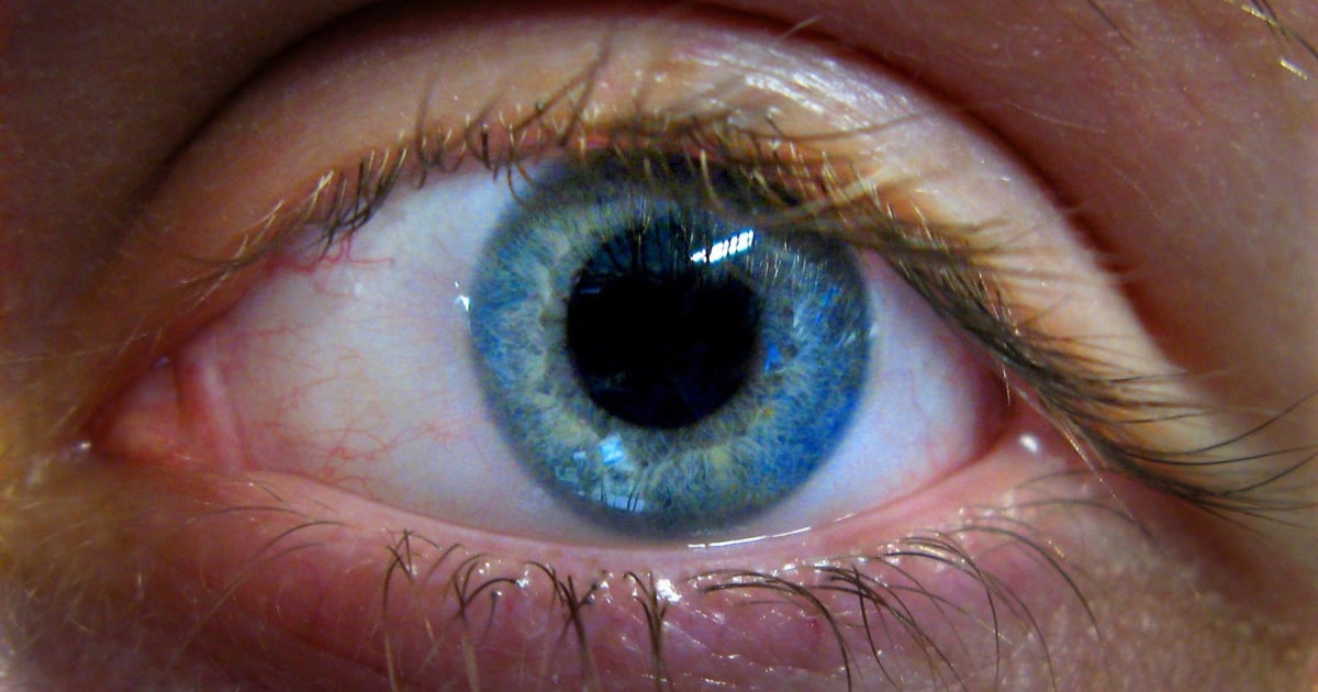 Eye in a Dish: Researchers Make Retina From Stem Cells