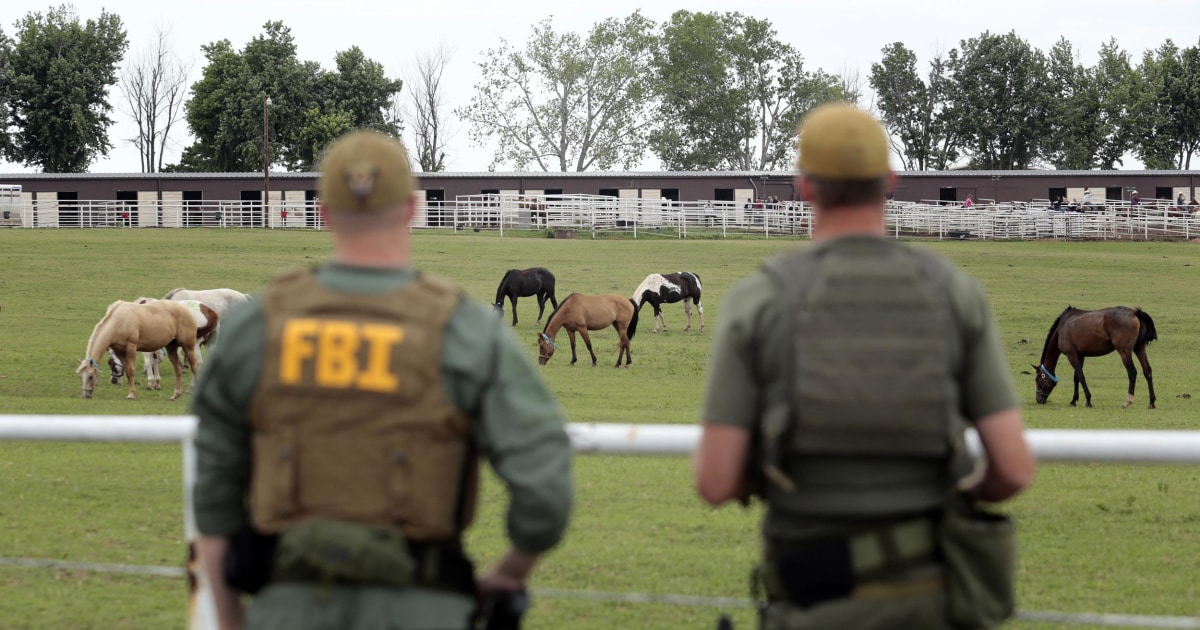 How a Drug Cartel Hid Millions Through a Horse Farm