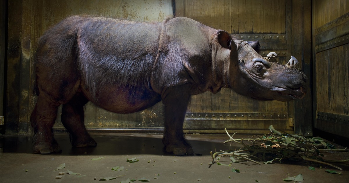 Was Darwin Wrong? Photographer Describes Evolutionary Journey