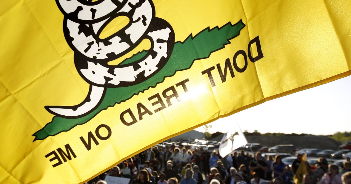 Tea Party Stands Alone on Key Issues