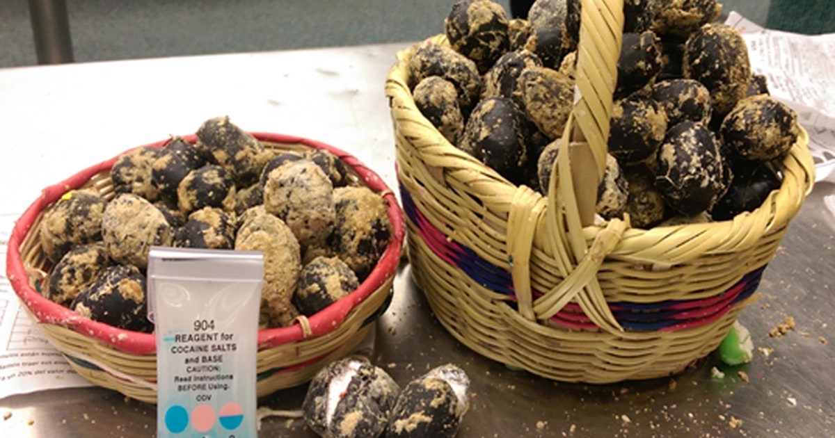 $50K Worth of Cocaine Baked Into Batch of Cookies
