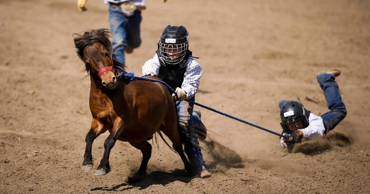 Calgary Stampede Rodeo Kicks Into High Gear