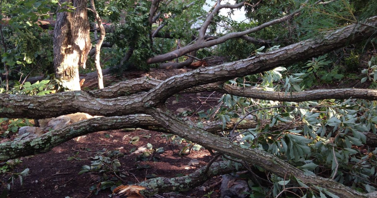 Storm Warning Went Out Minutes Before Child Killed at Summer Camp