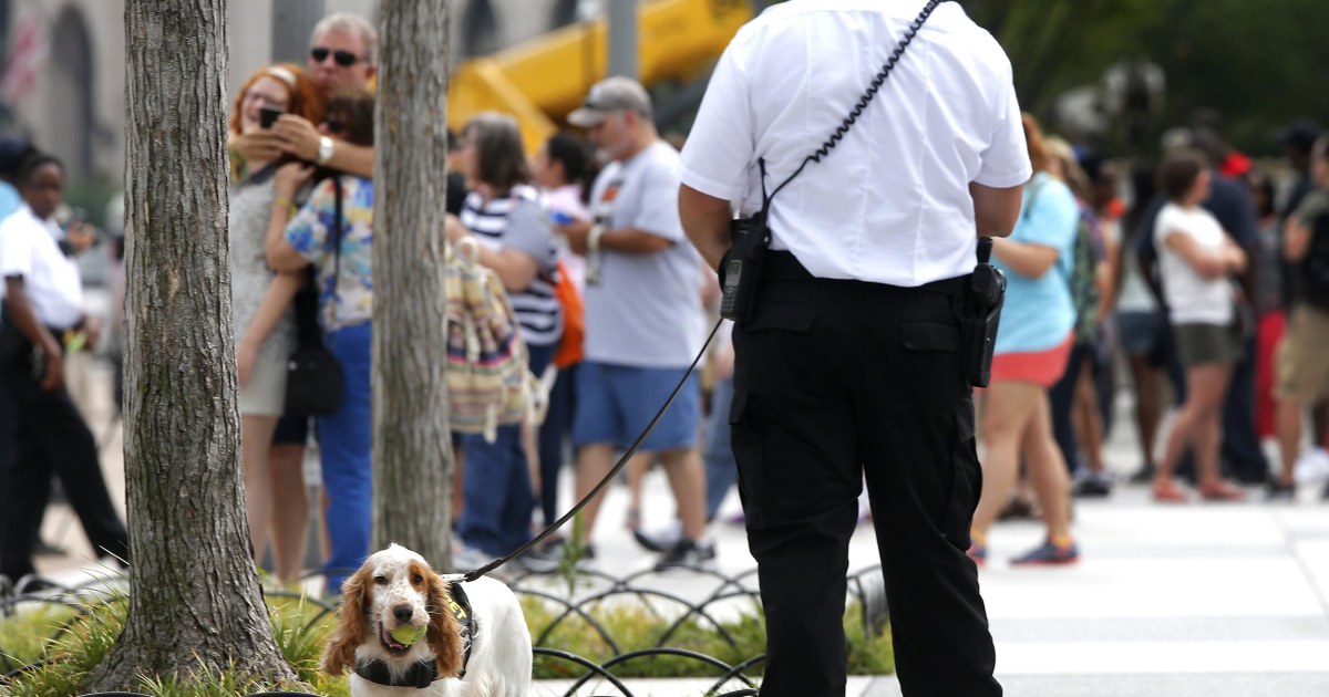 Meet the Newest Weapon of the Secret Service