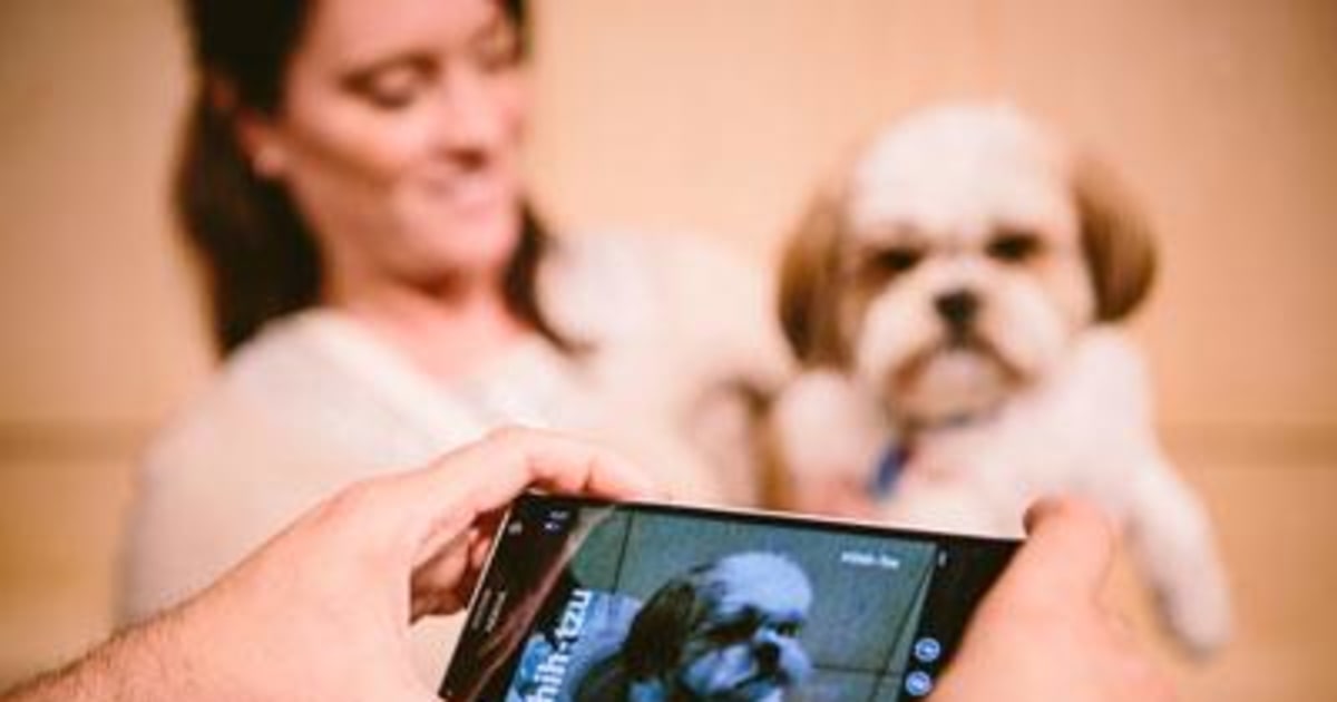 Microsoft's 'Project Adam' Ups the Ante in Artificial Intelligence