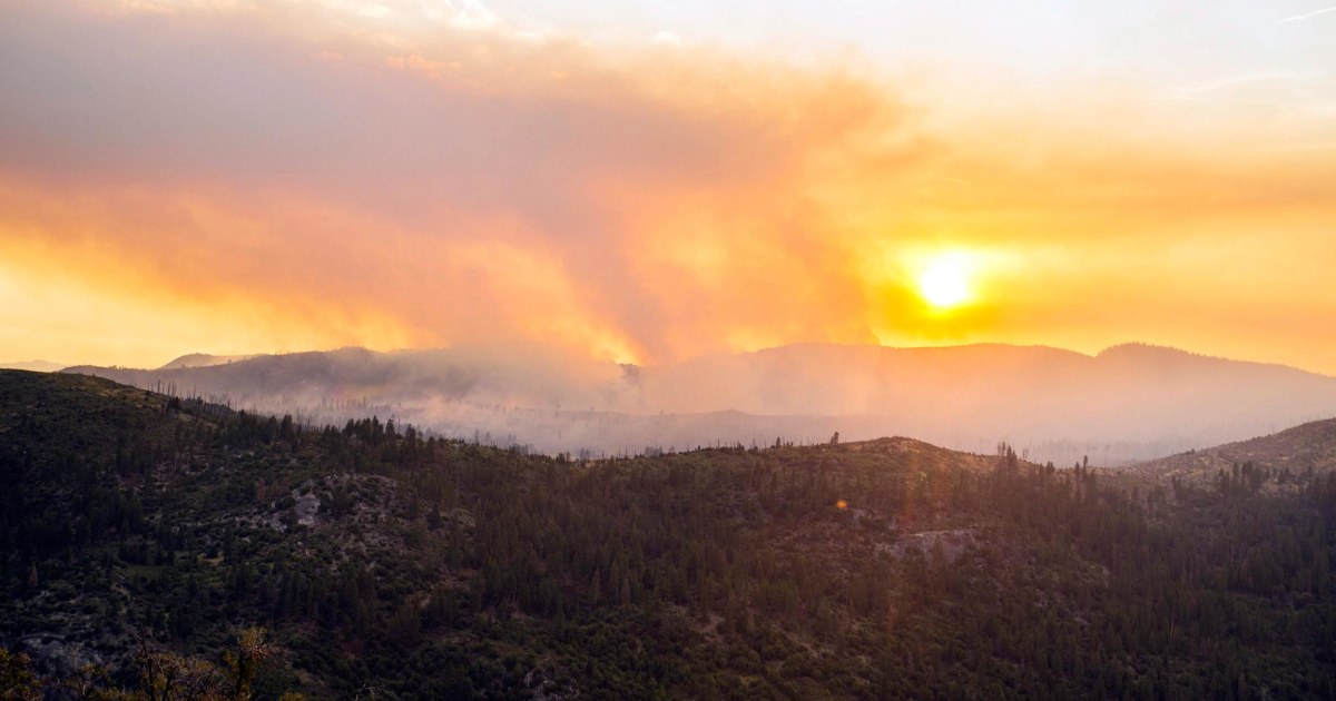 Yosemite Wildfire: Crews Beat Back Blaze in California