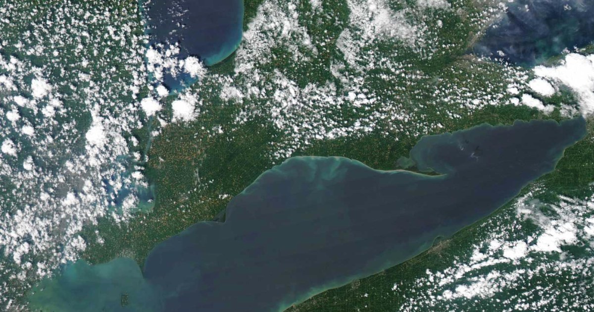 Lake Erie's Algae Problem Visible From Space