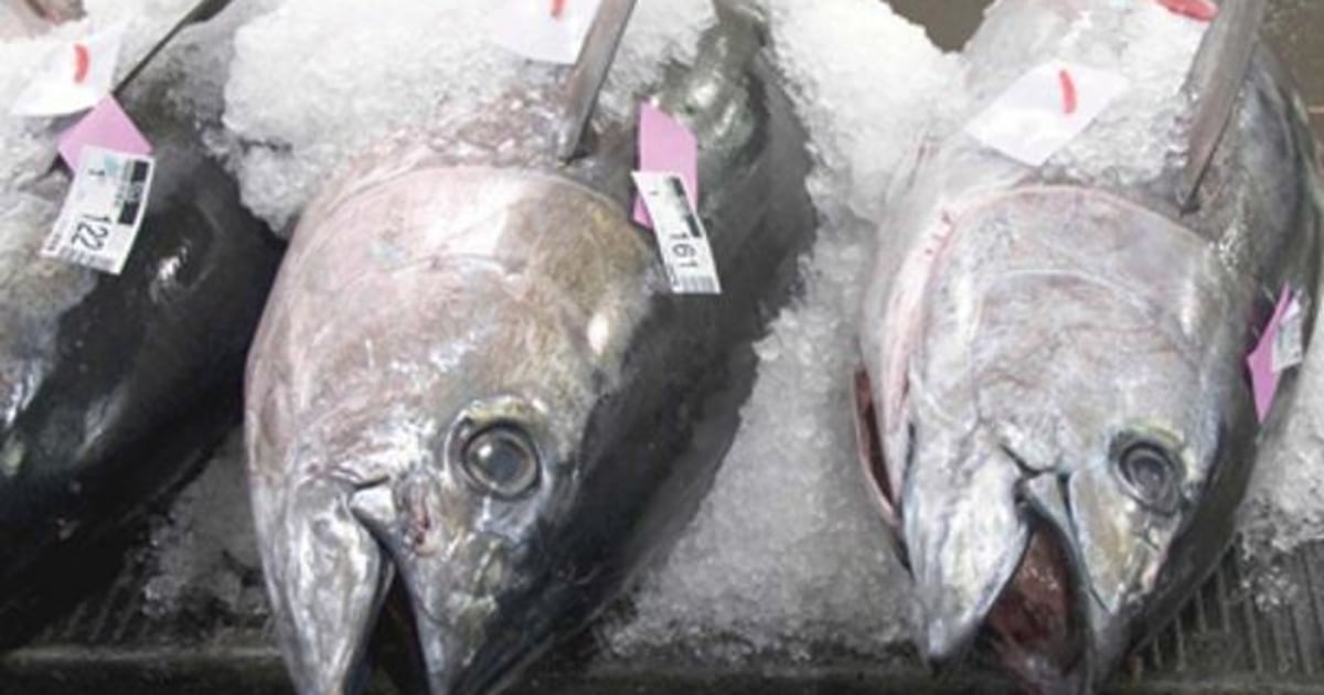 Study Reveals How Much Mercury Taints the Oceans