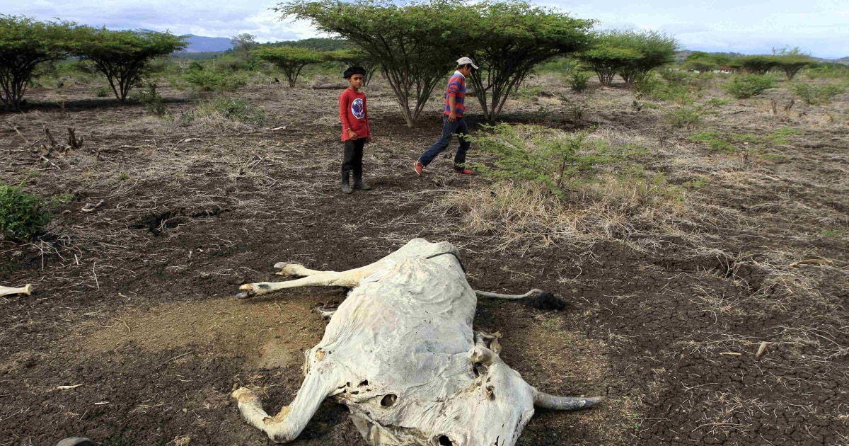 Guatemala Declares Emergency Over Central American Drought