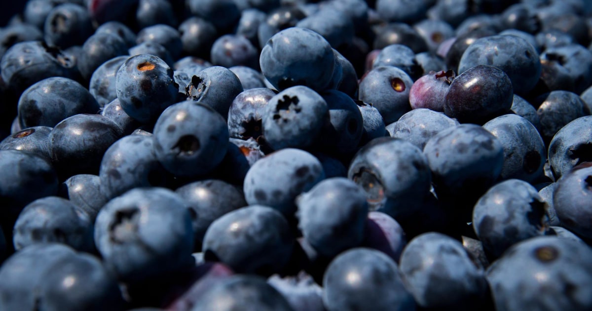 Antibiotics Suspected in Girl's Allergic Reaction to Blueberry Pie