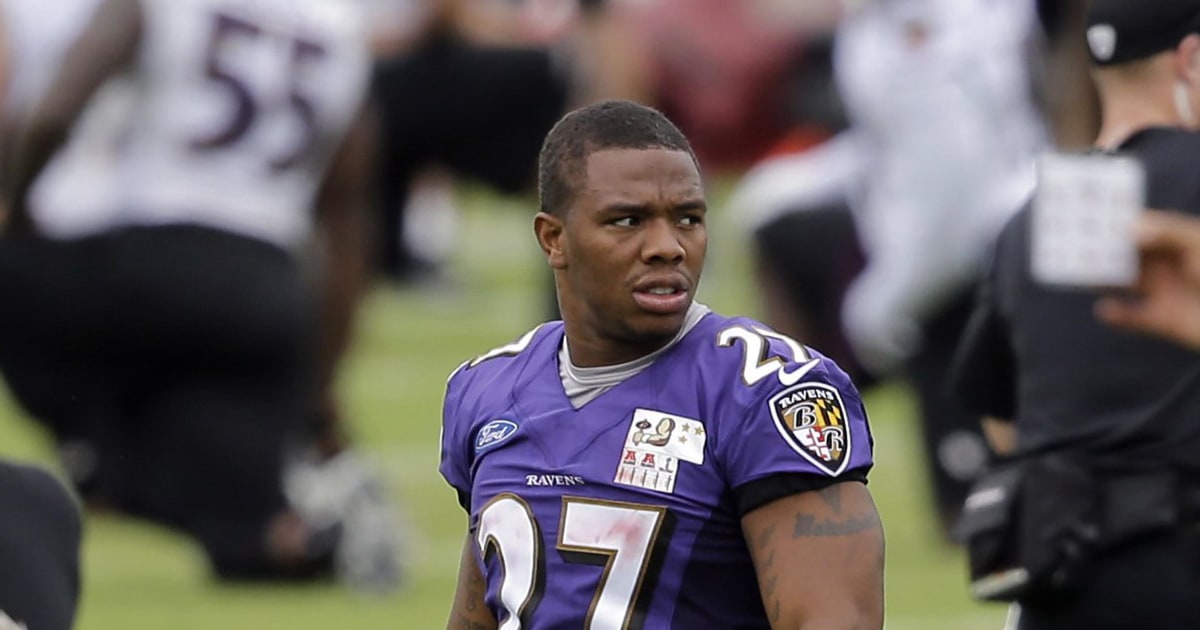 Ray Rice Told NFL's Roger Goodell He Hit Fiancee: Sources