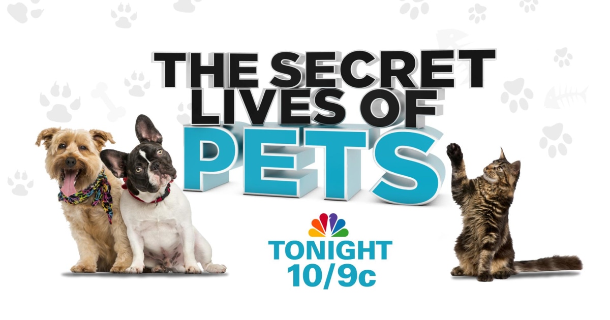PREVIEW: The Secret Lives of Pets