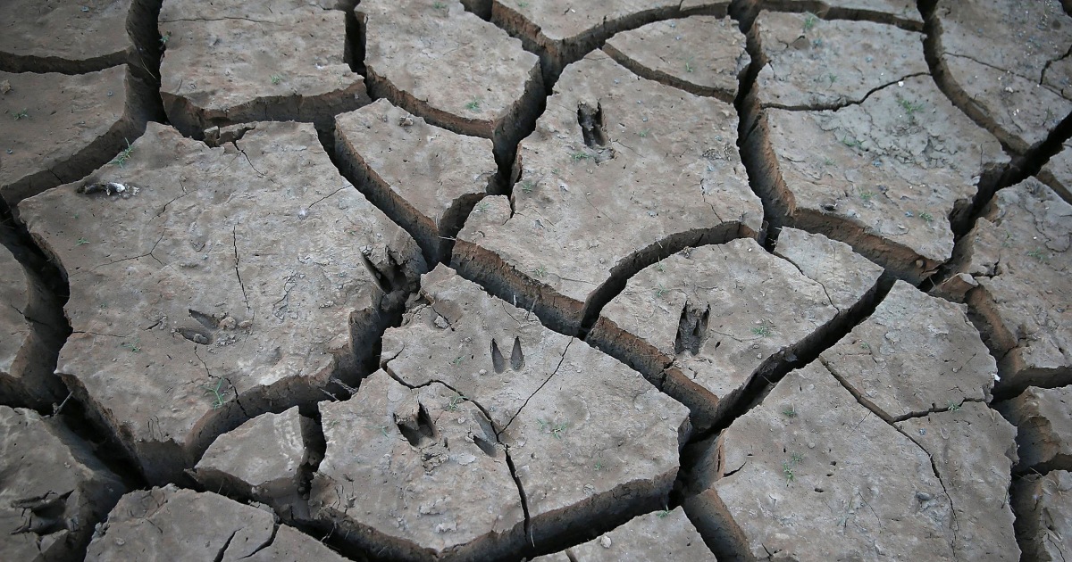 Not One Drop: How Long Will California Survive Life Without Water?