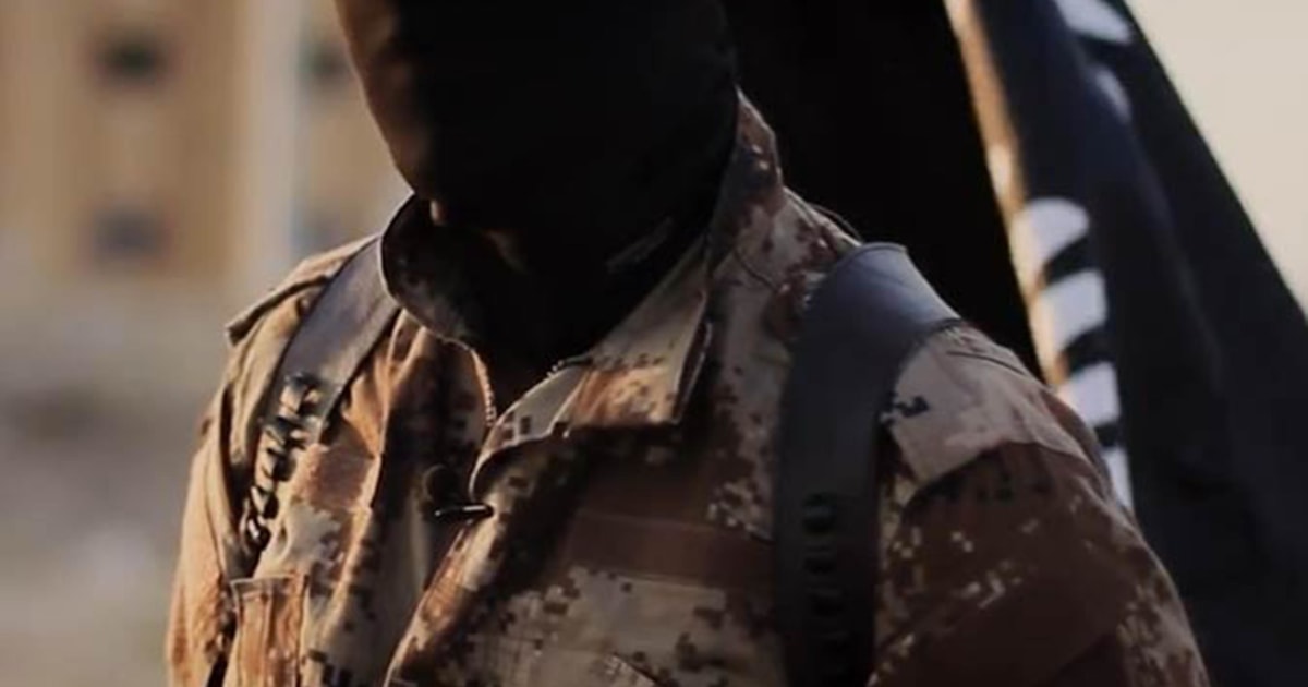 Who Are ISIS Beheading Videos Aimed At?