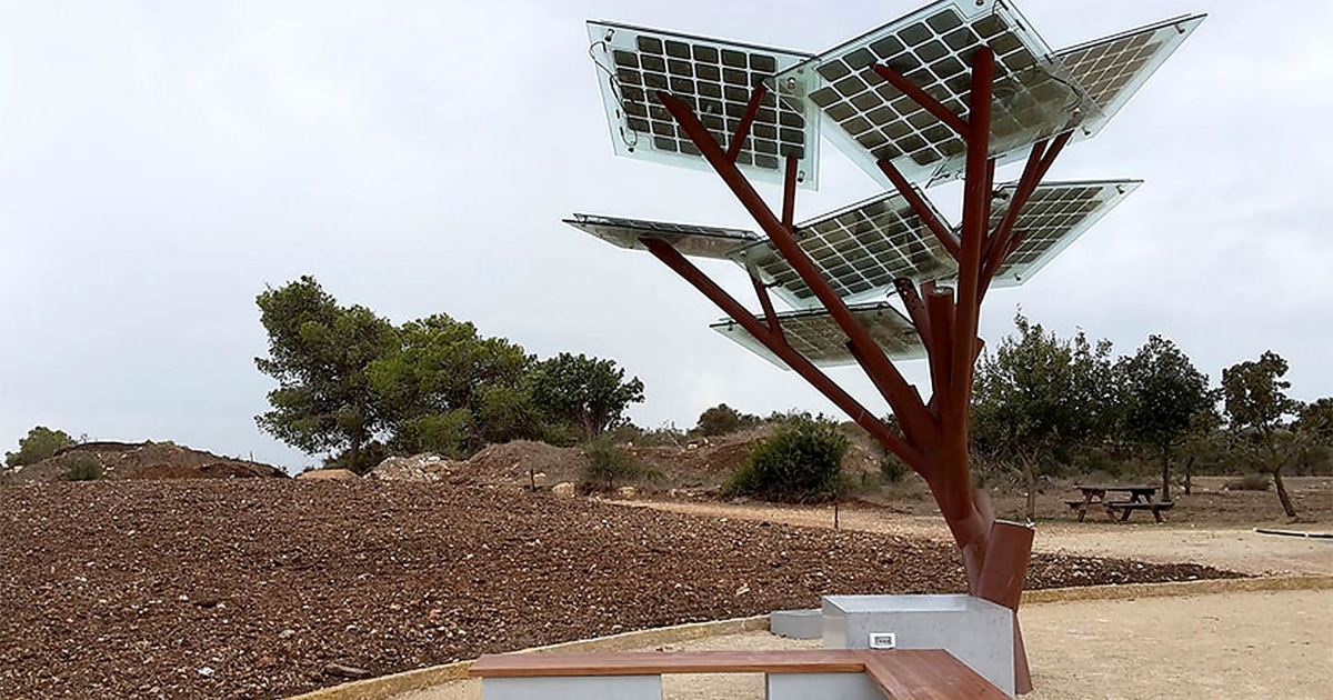 Solar Panels Don't Grow On Trees … Most of the Time