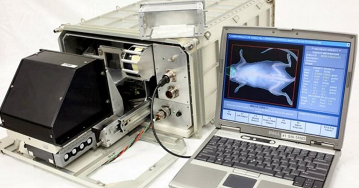 Farewell, 'Mouse-tronauts': Lab Mice Dissected in Zero-G