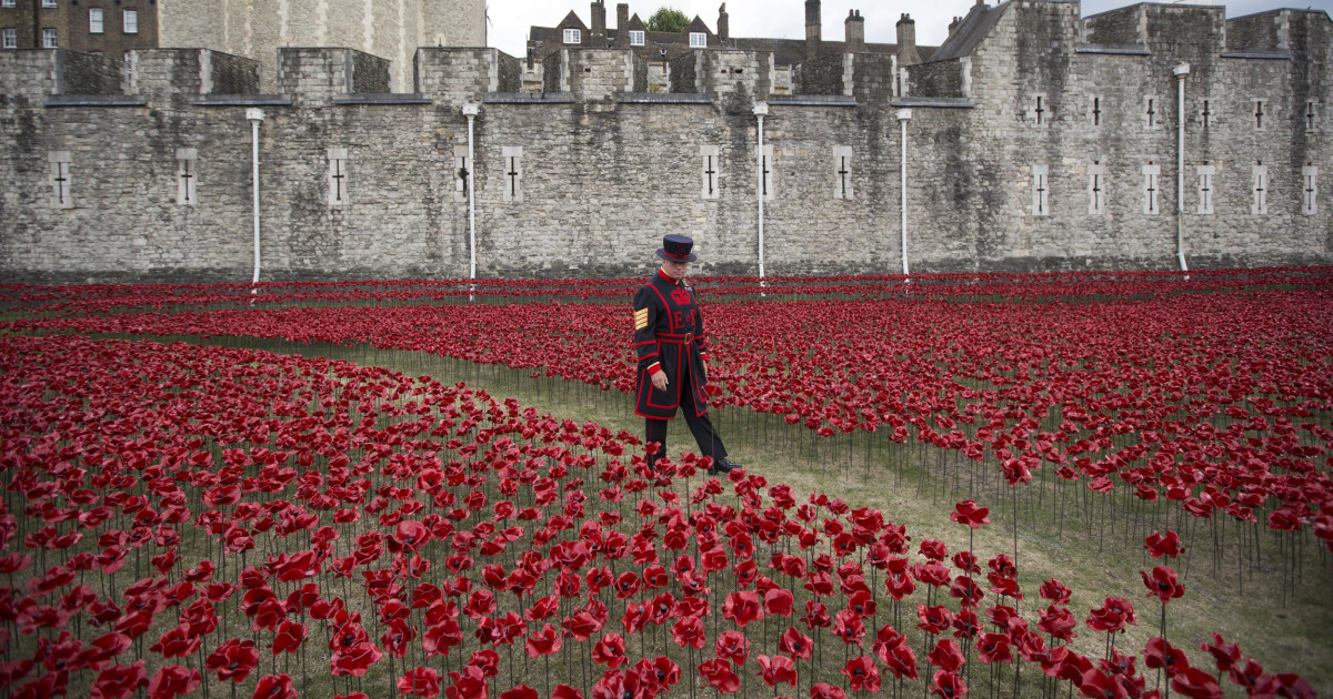 Tower of London Poppies Honor 'Lives They Would Have Led'