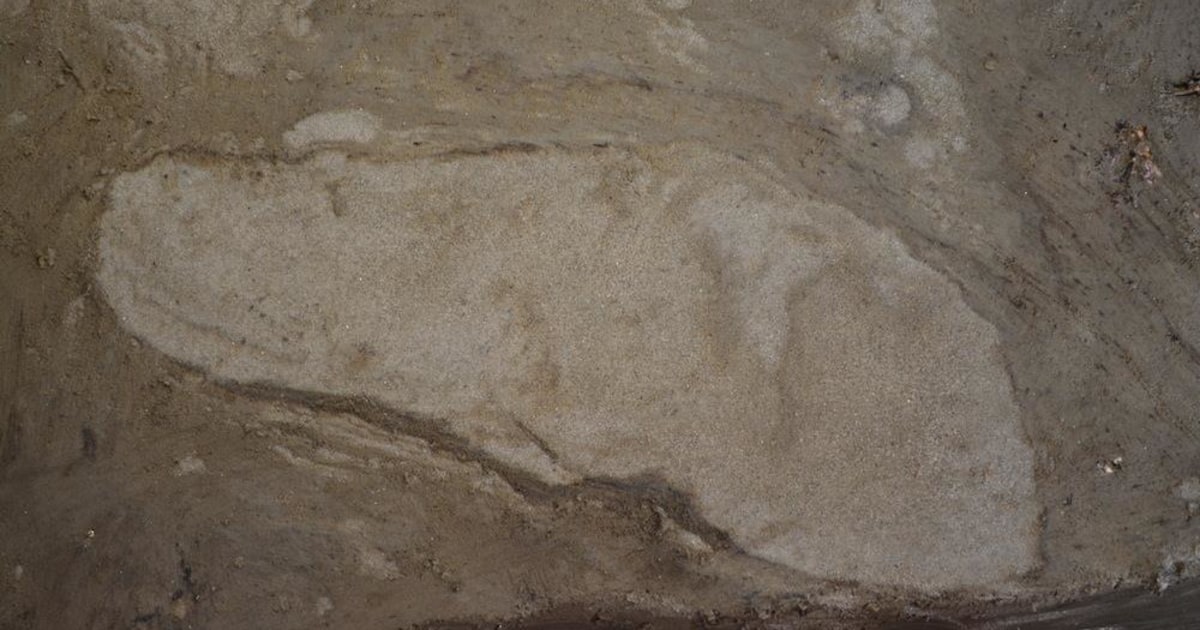 'Quite Extraordinary': 5,000-Year-Old Footprints Discovered in Denmark