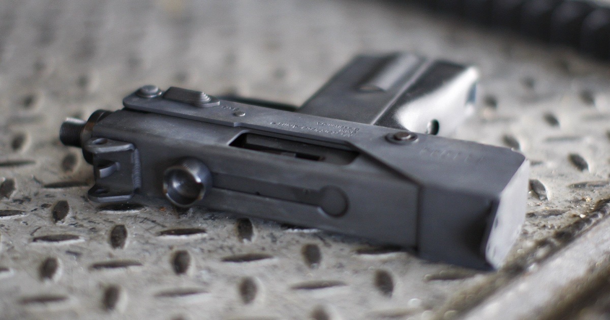 Inequality, Affirmative Action, Guns Top Issues Among Asians