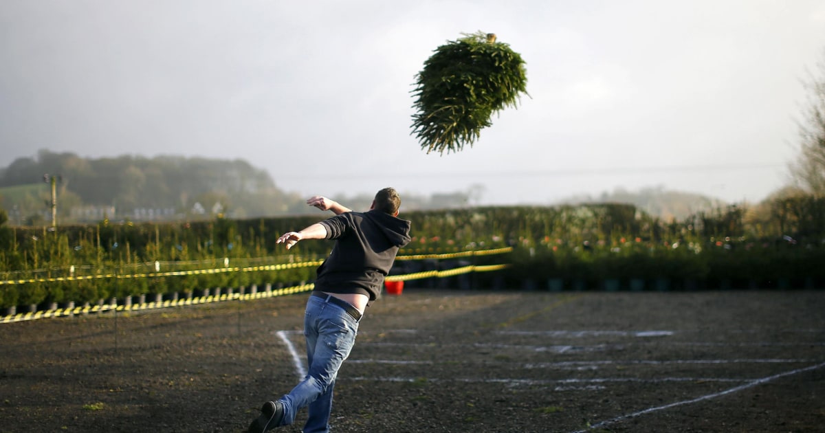 Christmas Trees Take Flight for Charity