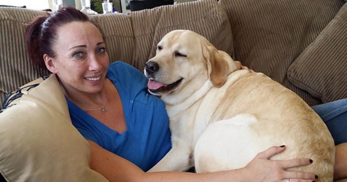 Amy says her dog Kuma is "Amazing"