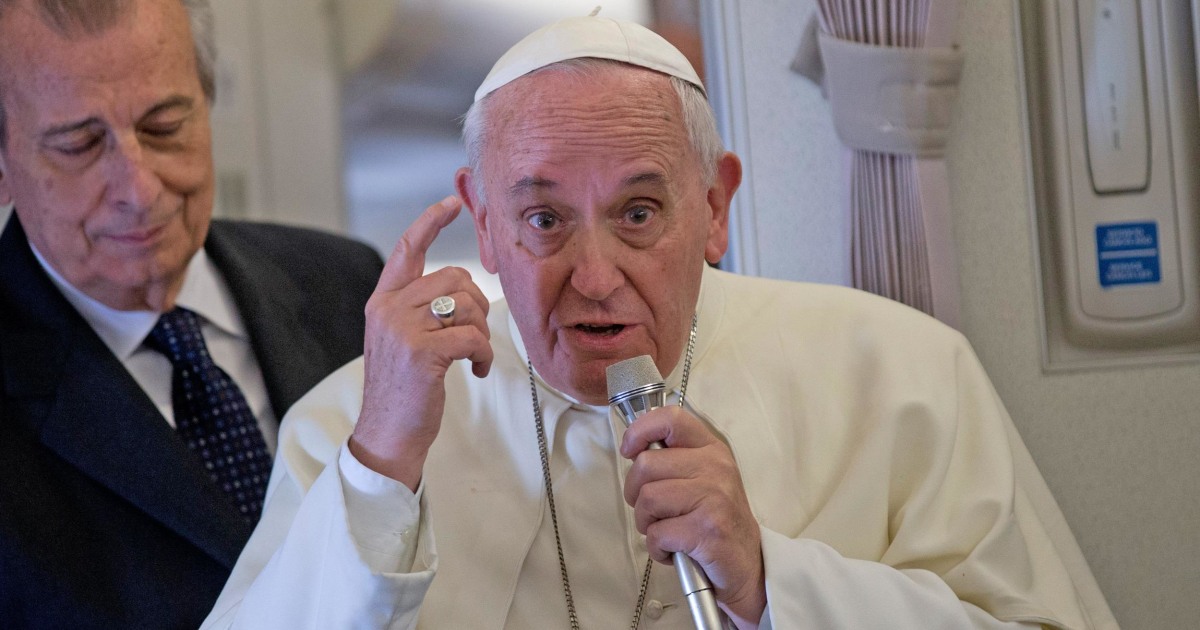 Pope: Good Catholics Don't Have to Mate 'Like Rabbits'