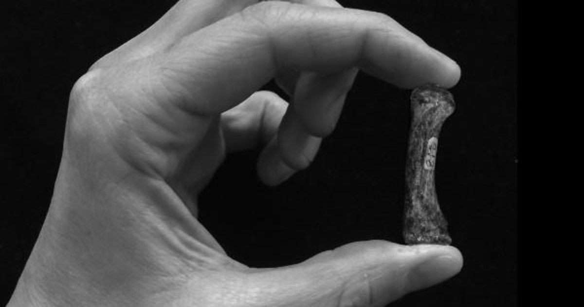 Get a Grip: Hints of Oldest Tool Use Found in Ancient Hand Bones