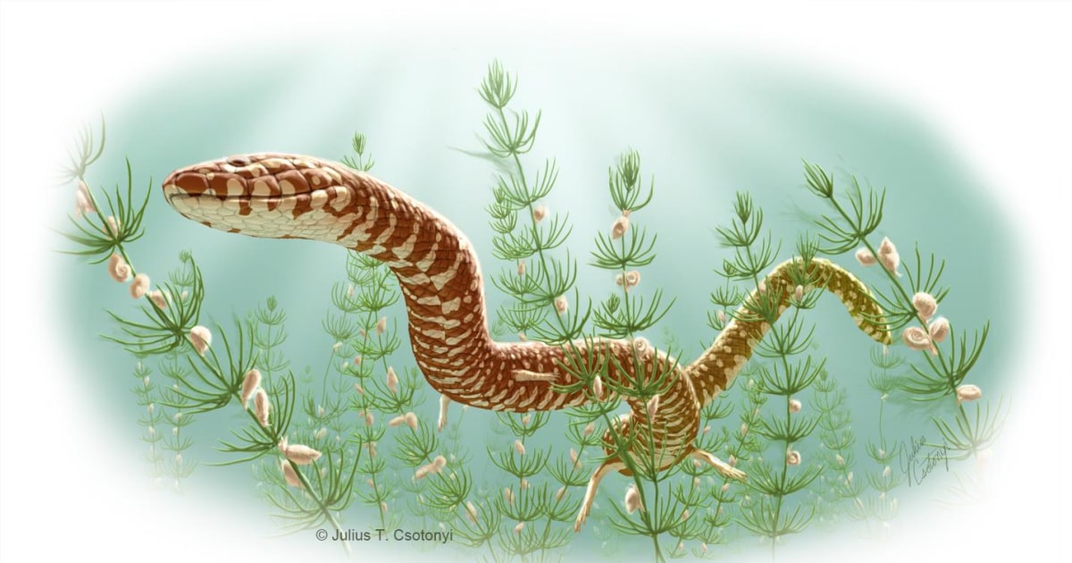 Fossils Push Back Snake Origins by 65 Million Years