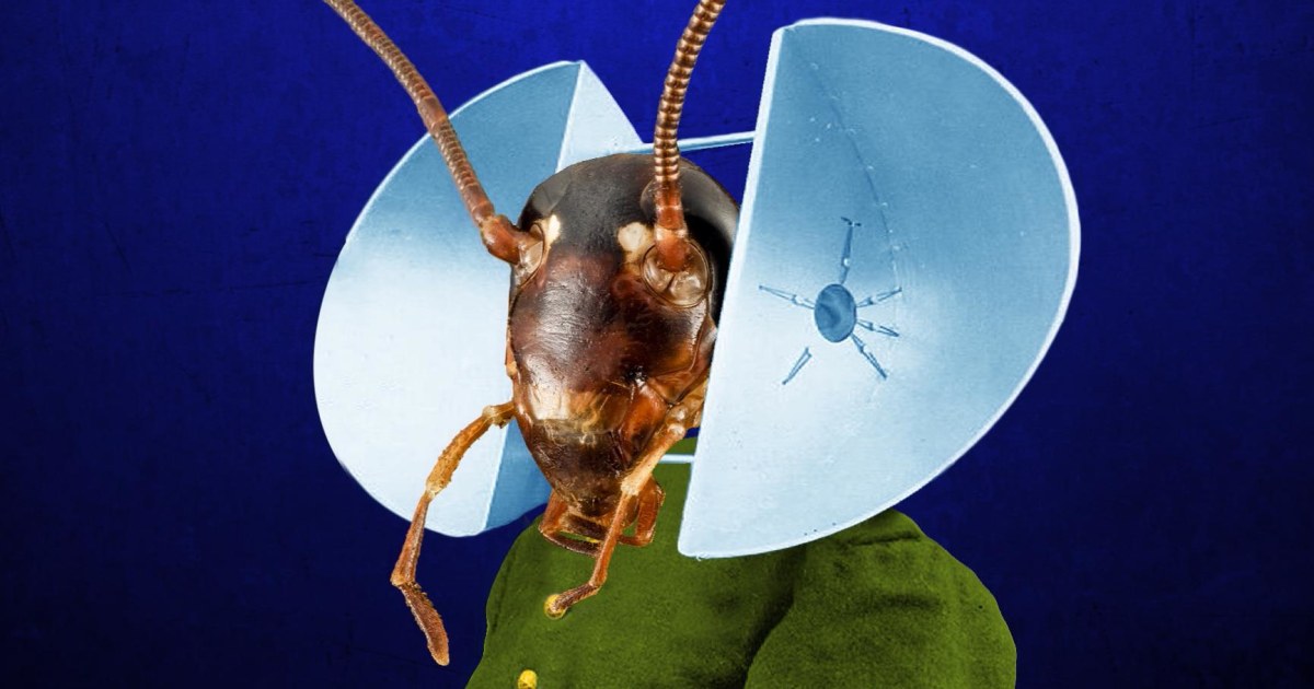 Natural Disaster? Cyborg Cockroaches to the Rescue