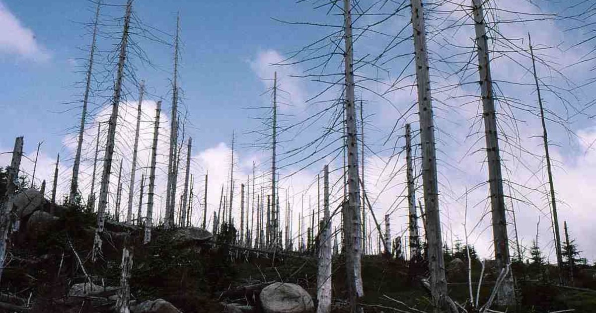 Earth's Biggest Extinction Due to Climate, Volcanoes: Researchers