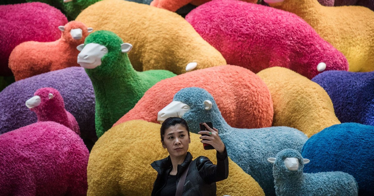 Is It the Year of the Sheep, Or Year of the Goat?
