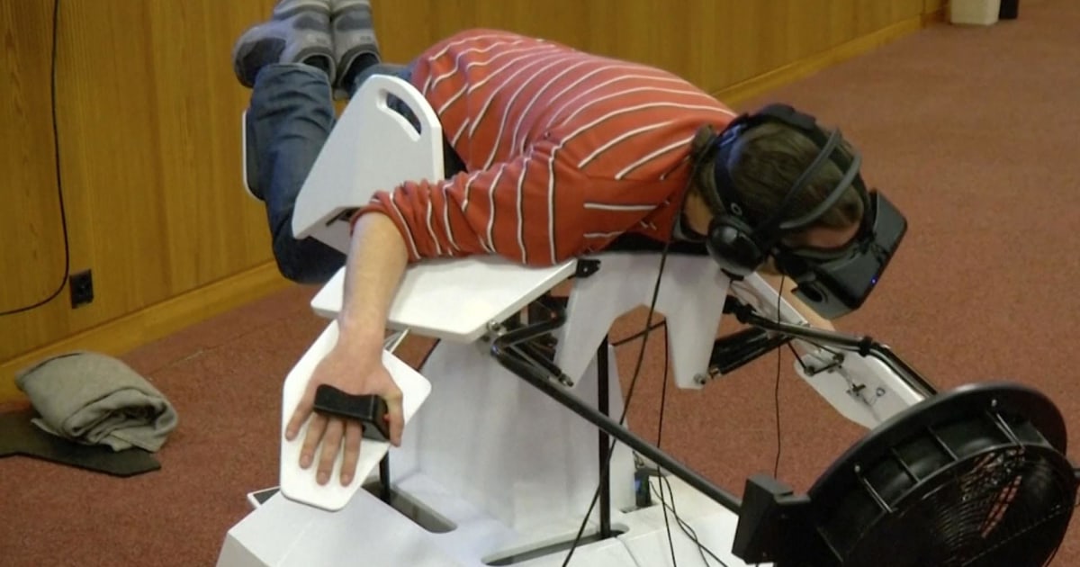 Soar Like an Eagle with this New Virtual Reality Rig