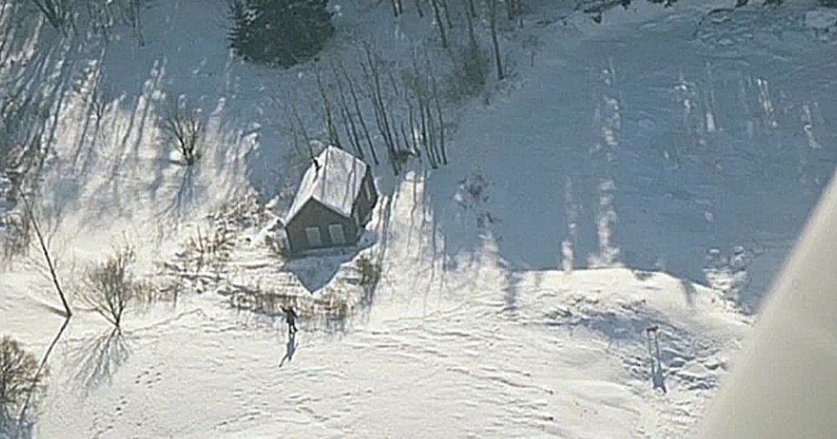 Diane Cowan, Lobster Scientist, Trapped on Maine's Friendship Island ...