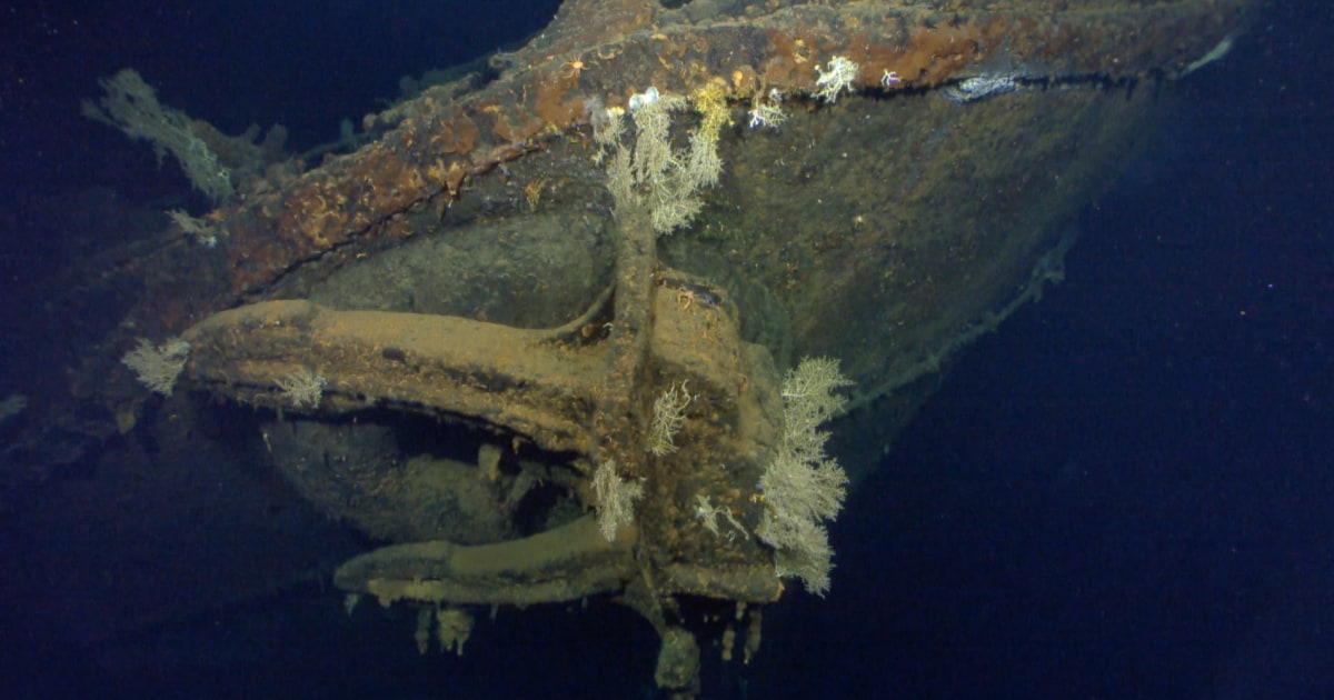 Paul Allen Says He's Discovered Wreck of Japan's WWII Battleship Musashi