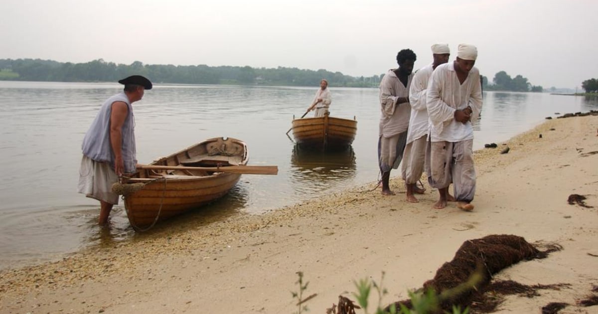 17th-Century Slaves' Bones Traced to African Homelands