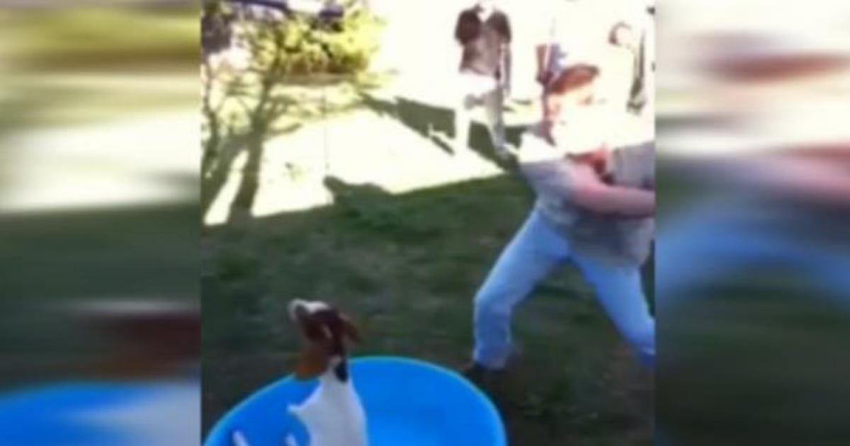 Goat Decapitation Video Prompts Police Investigation in Louisiana