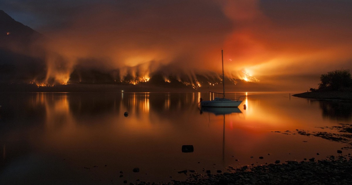Forest Fire Destroys Argentine Wildlife