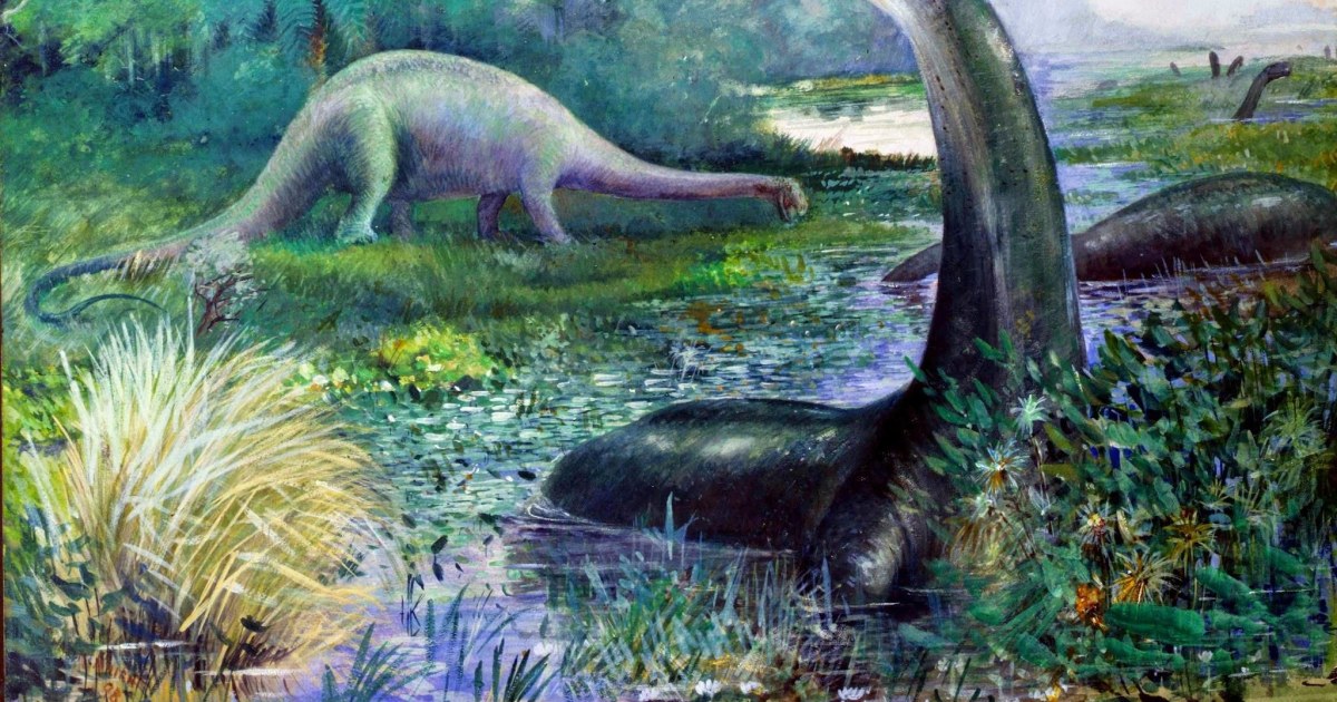 Brontosaurus Makes a Comeback in Revised Dinosaur Family Tree