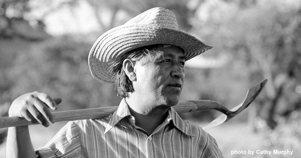 Navy Vet Cesar Chavez to Get Military Honors Funeral