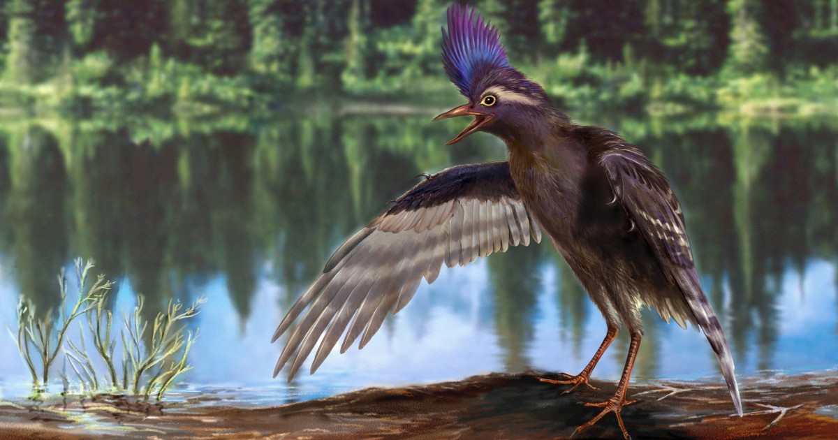 Oldest Known Bird Ancestor? That Depends on Your Definition