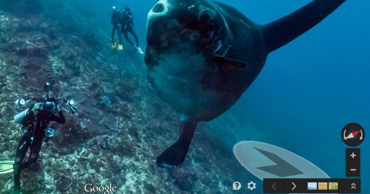 Google Street View Lets You Explore Oceans Around the World