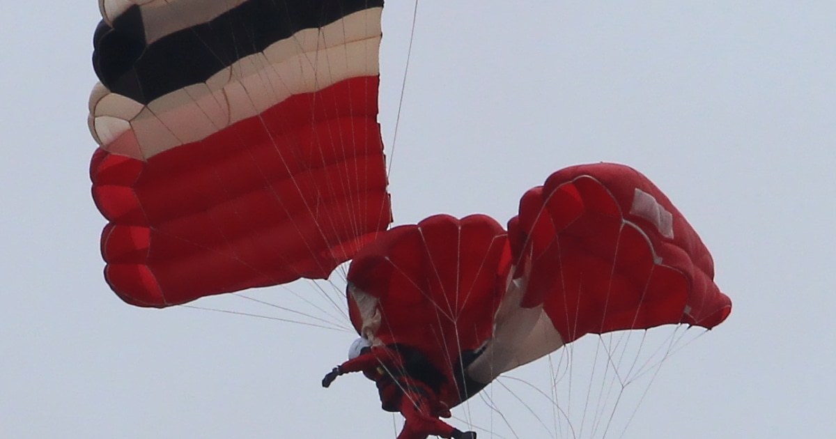 Parachutist Saved in Mid-Air as Chute Fails to Open at Airshow